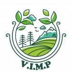 Sả - Mô tả, công dụng, cách dùng - VIMP